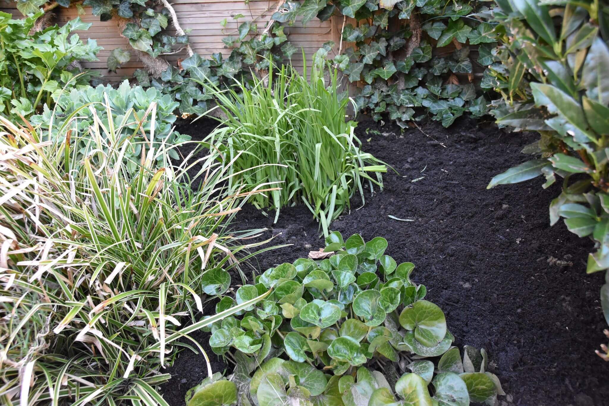 De voordelen van compost - Bodemgigant